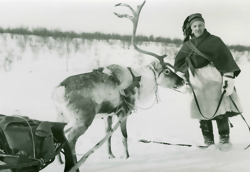 The Science of Santa’s Reindeer | The Franklin Institute