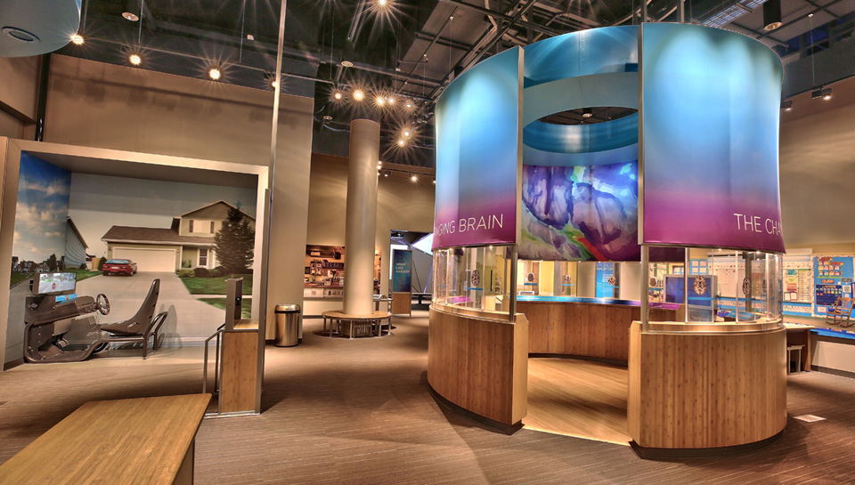 Wisdom Hall & Your Brain | The Franklin Institute