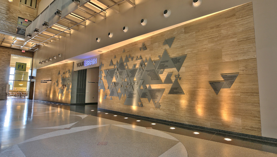 Wisdom Hall & Your Brain | The Franklin Institute