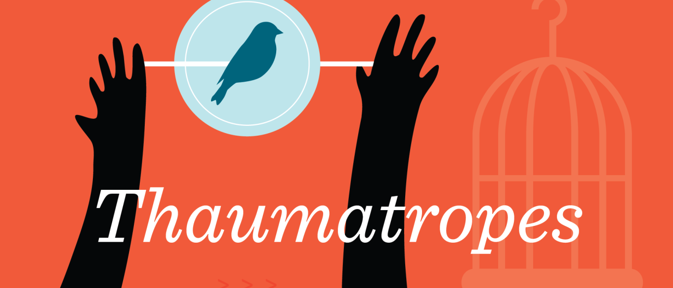 Thaumatropes | The Franklin Institute