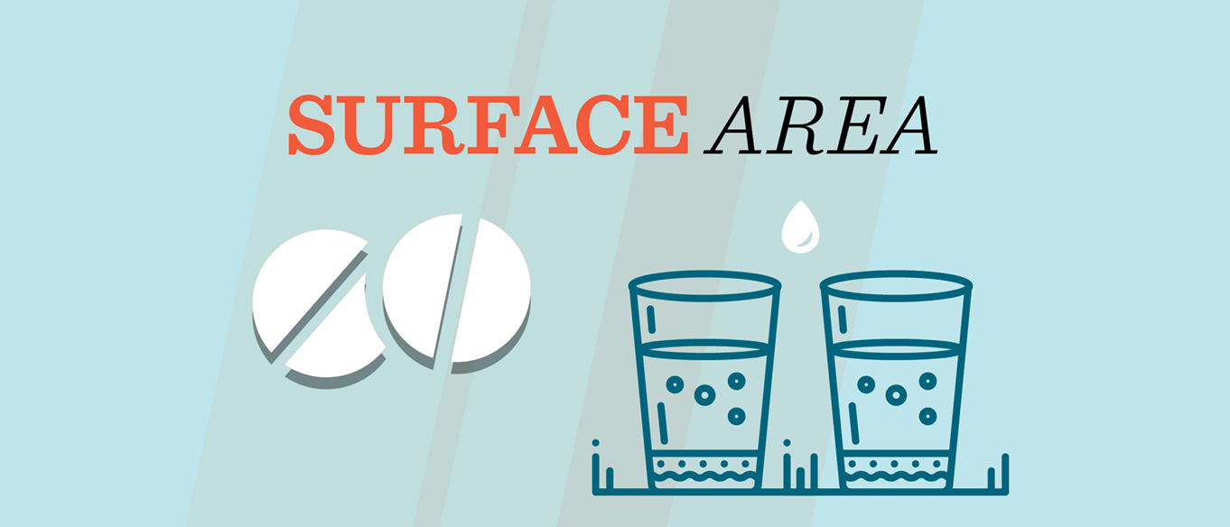 Surface Area | The Franklin Institute